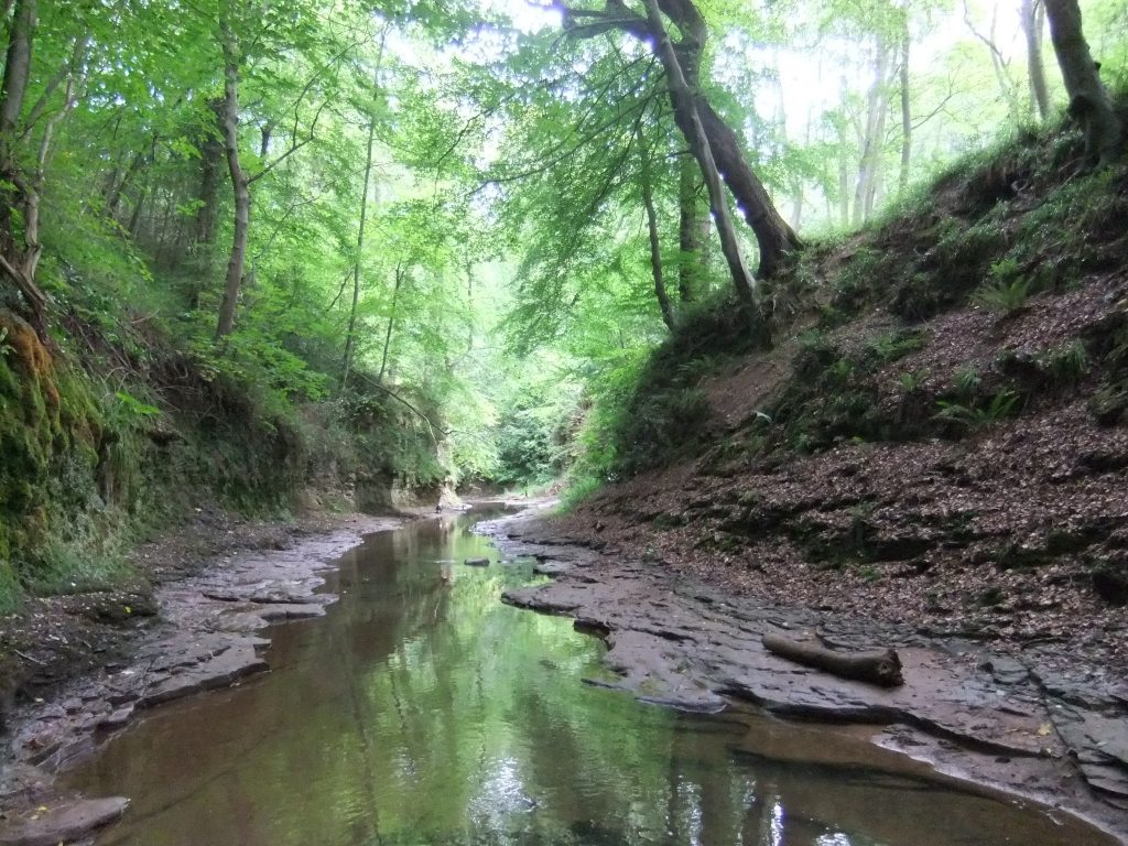 Saltburn Gill | Sapere Books